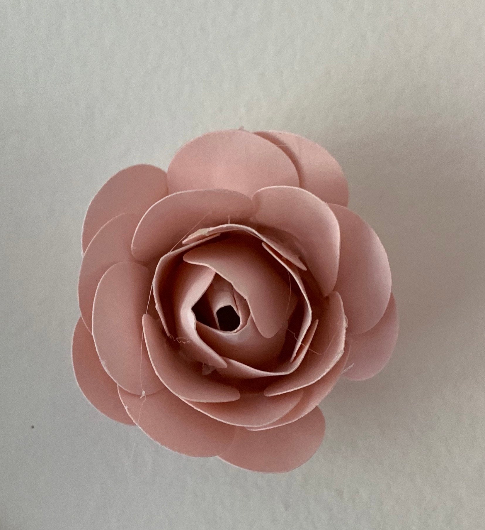 Paper Flower Wall Display Blush Pink Paper Rose Wall Display - Etsy