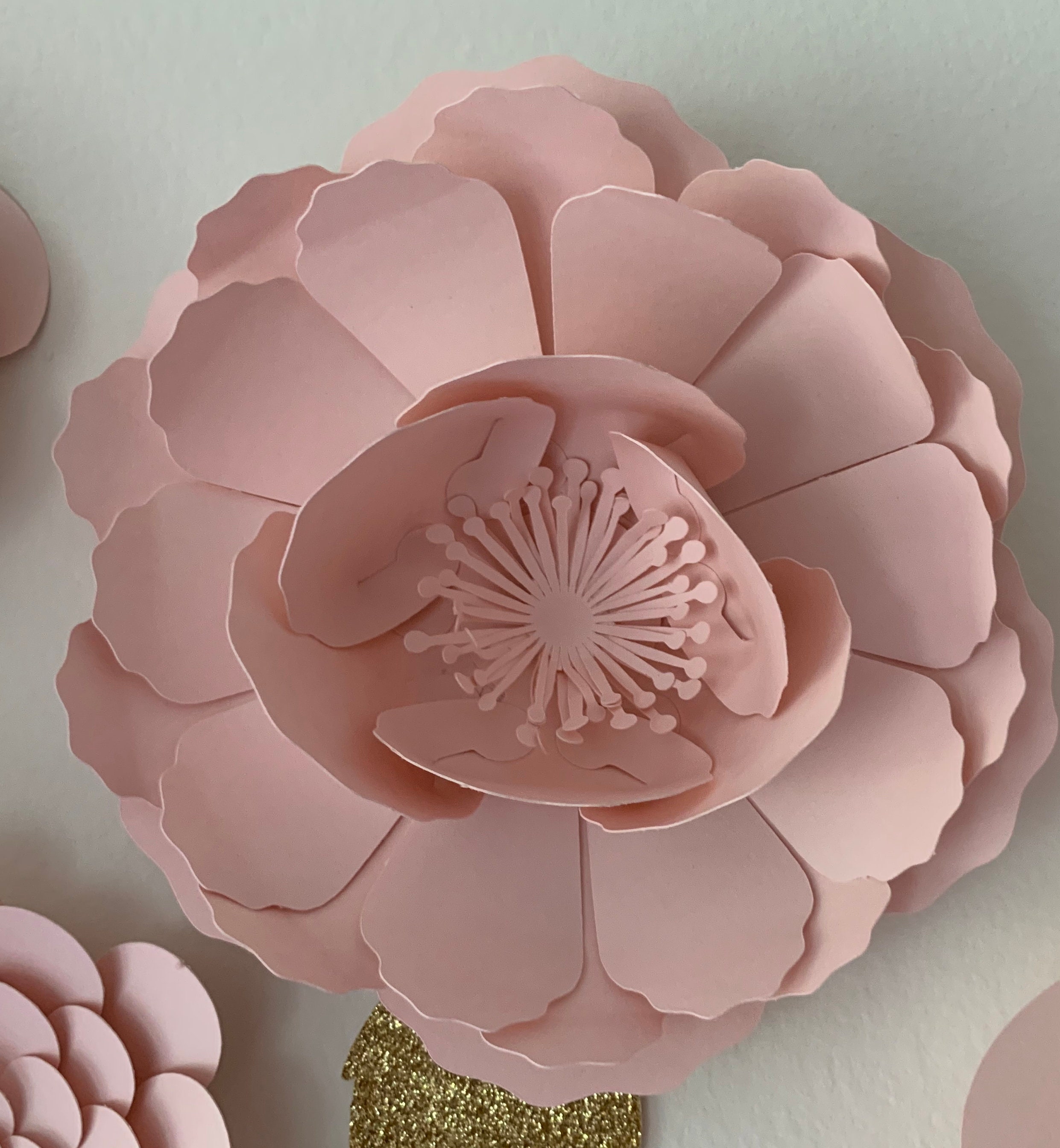 Paper Flower Wall Display Blush Pink Paper Rose Wall Display | Etsy