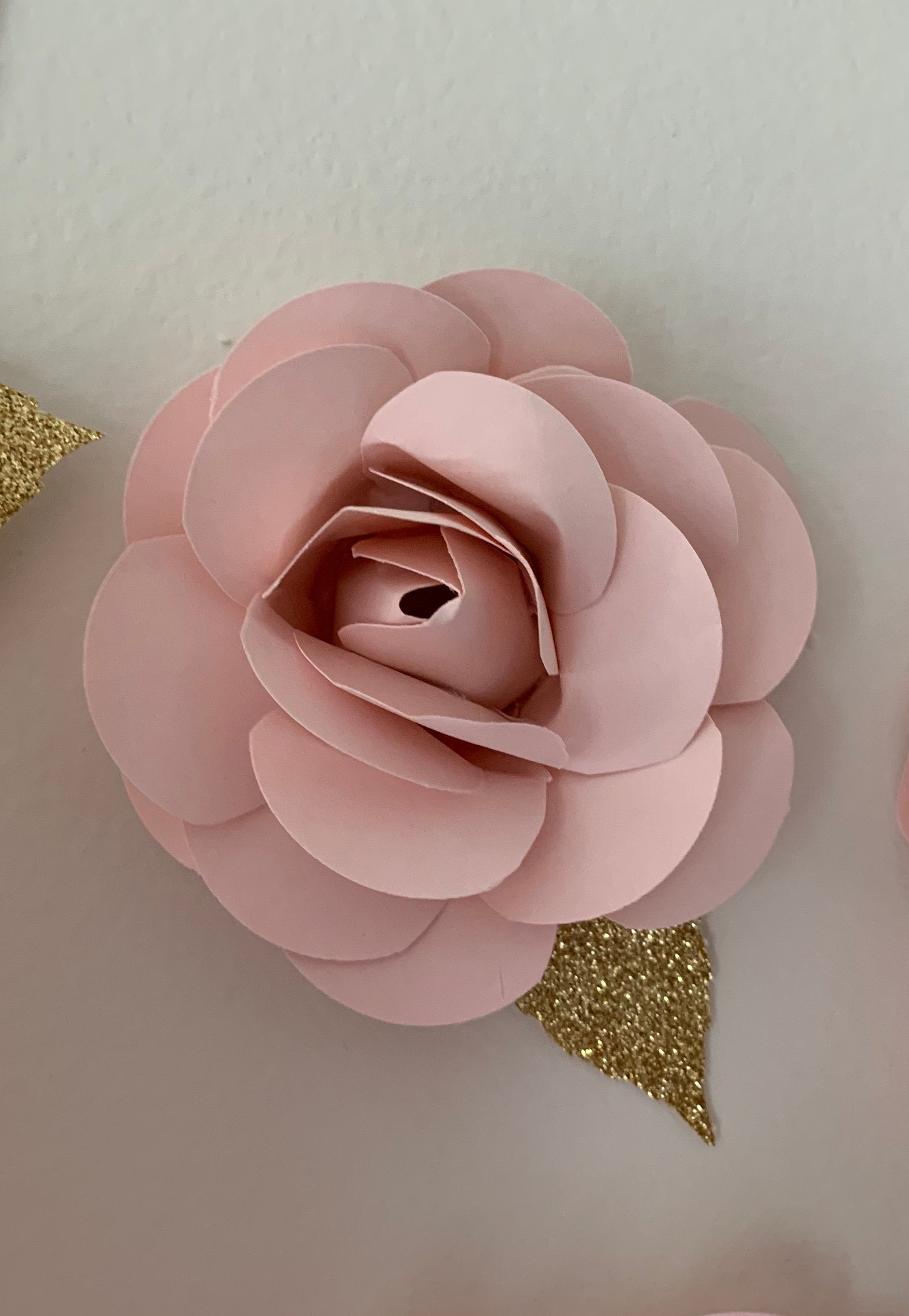 Paper Flower Wall Display Blush Pink Paper Rose Wall Display - Etsy