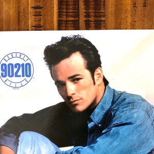 Rare 1991 Dillon McKay 90210 Poster / Beverly Hills / Luke | Etsy