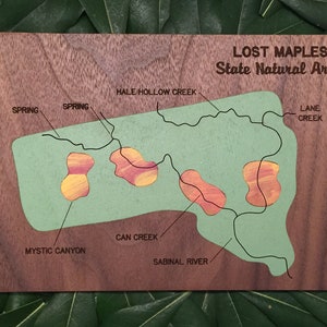 Lost Maples State Natural Area Map Art: Handpainted Texas Map With Park ...