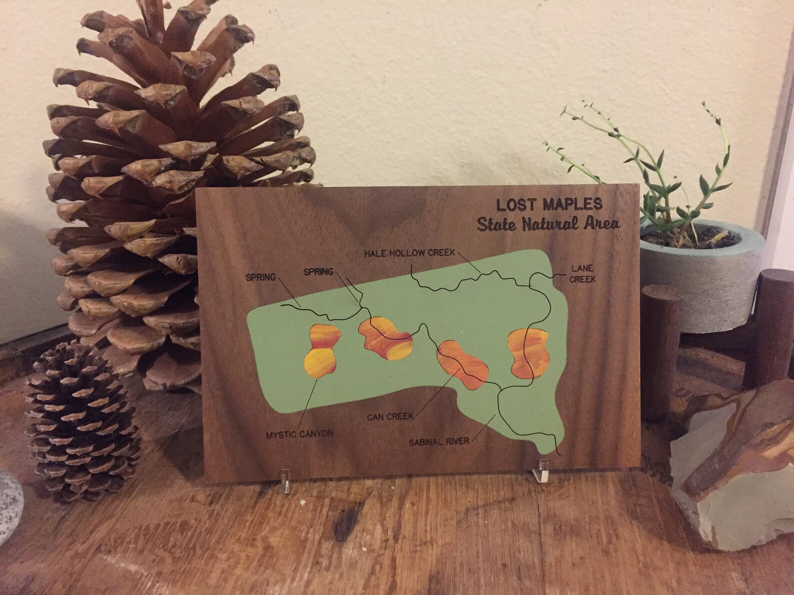 Lost Maples State Natural Area Map Art: Handpainted Texas Map With Park ...