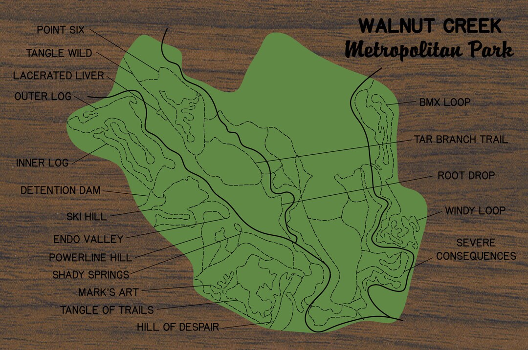 Walnut Creek Metro Park Map Art: Handpainted Austin Map With Park ...