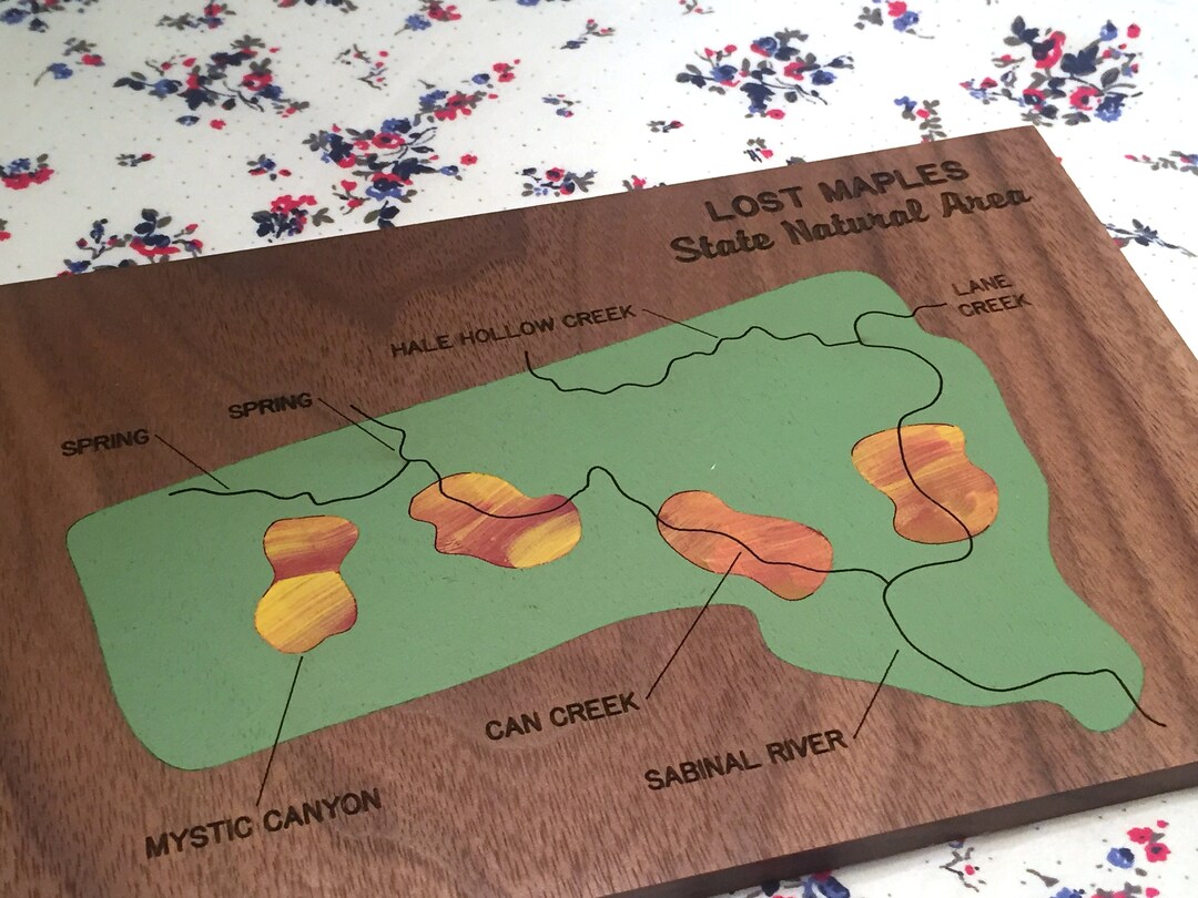 Lost Maples State Natural Area Map Art: Handpainted Texas Map With Park ...
