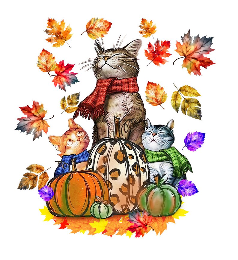 Autumn Cats and Pumpkins, Download, Autumn Leaves, Cats Wearing Scarves ...