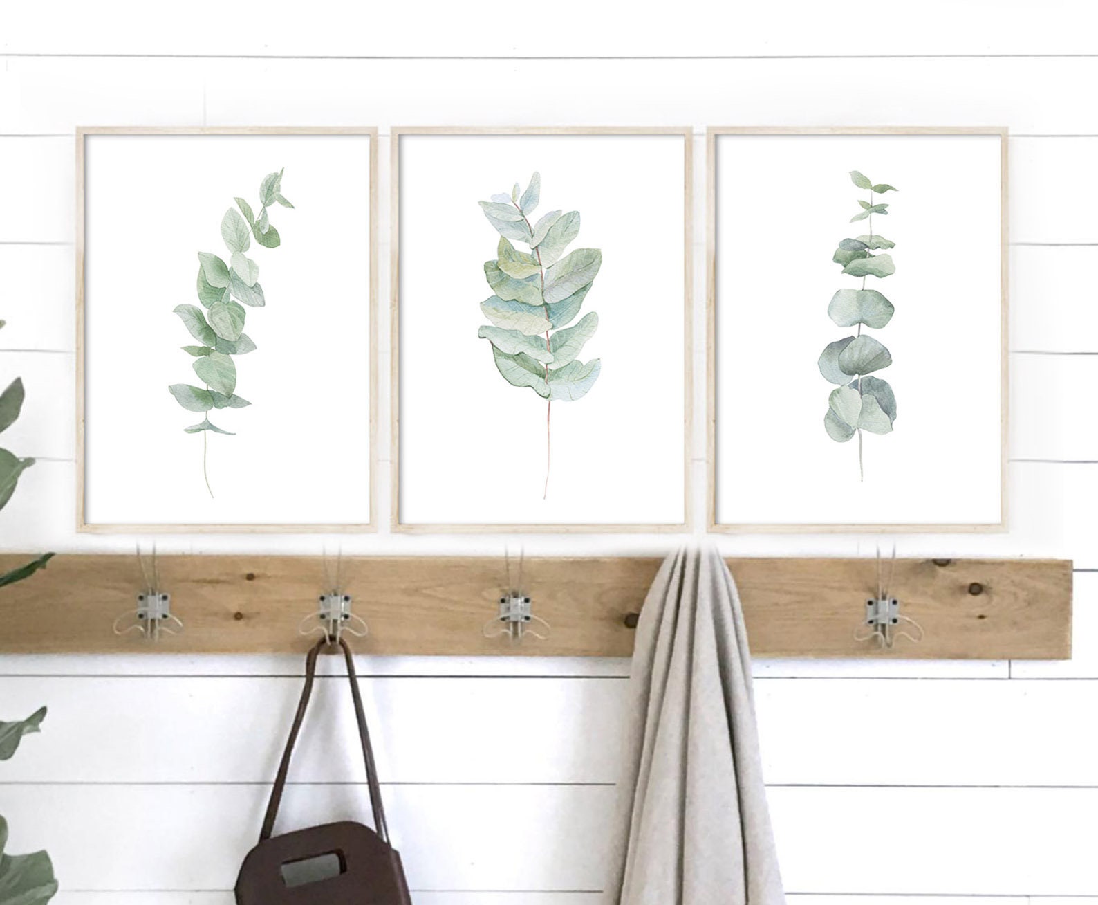 Eucalyptus Watercolor Set of Three Art Prints Eucalyptus | Etsy