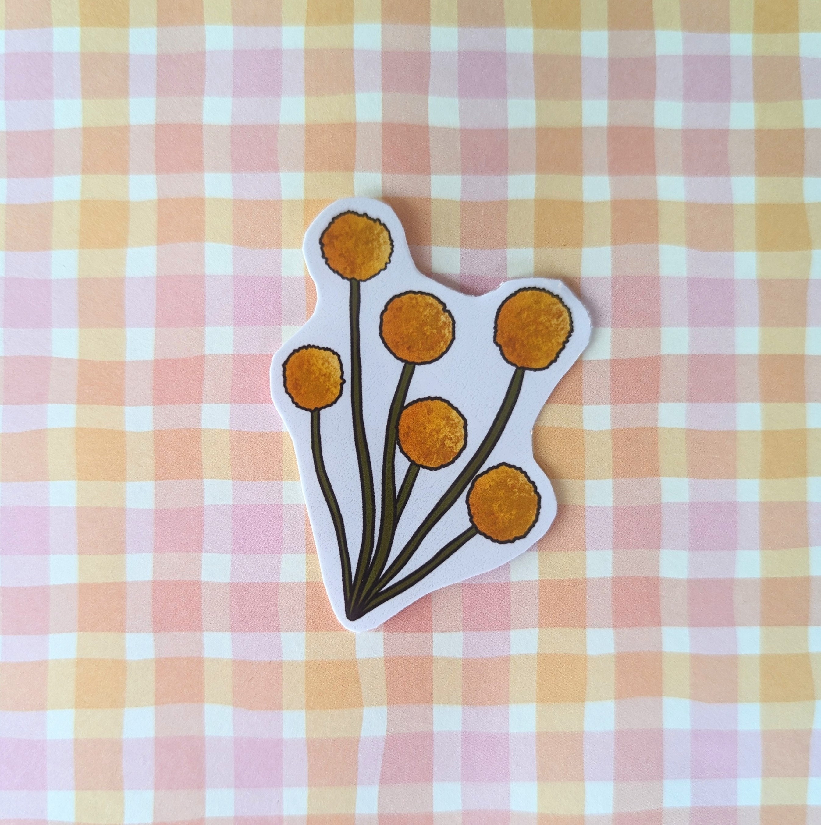 Native Australian Flowers Stickers/decals - Billy Buttons, Flowering ...