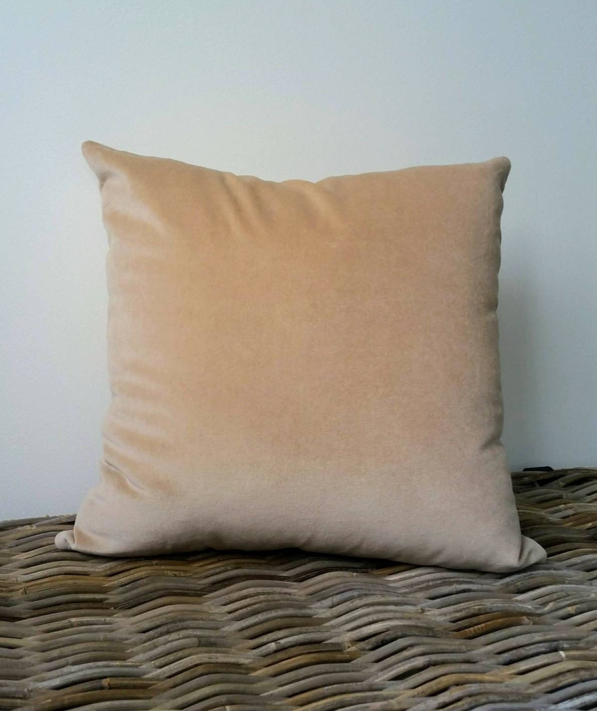 Housse de coussin en velours biscuit coussin neutre - Etsy France