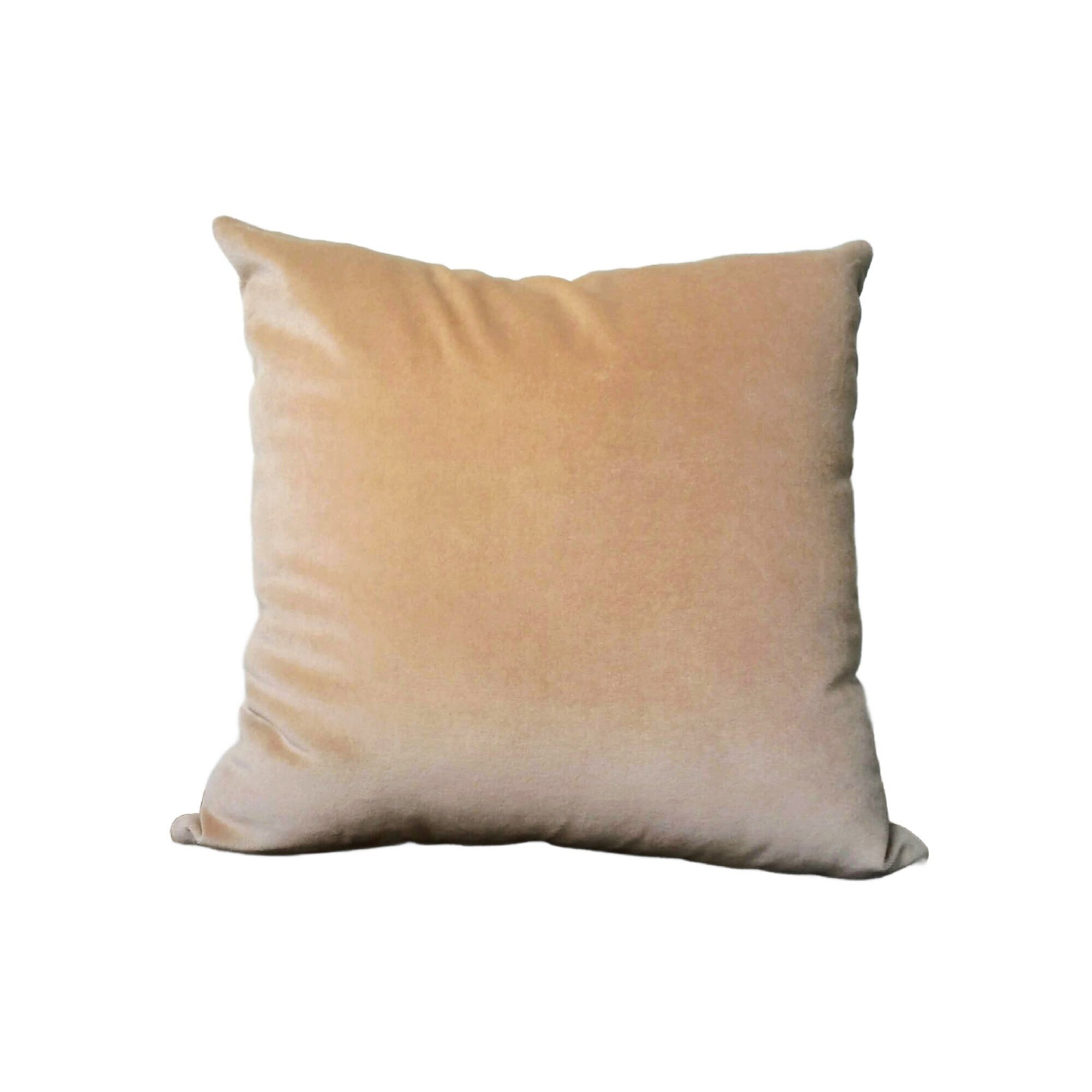 Housse de coussin en velours biscuit coussin neutre - Etsy France