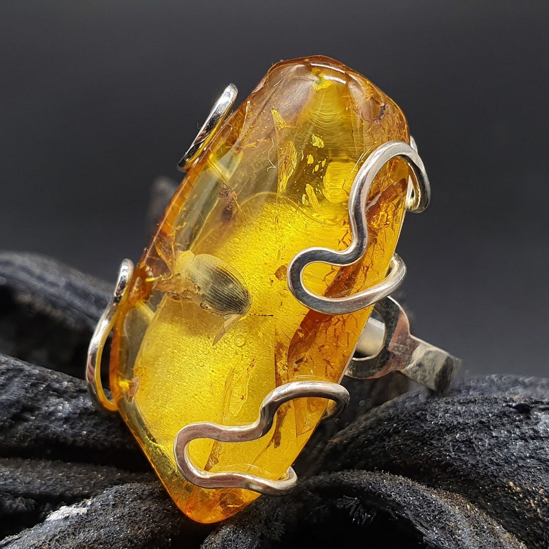 Amber With Insect - Etsy