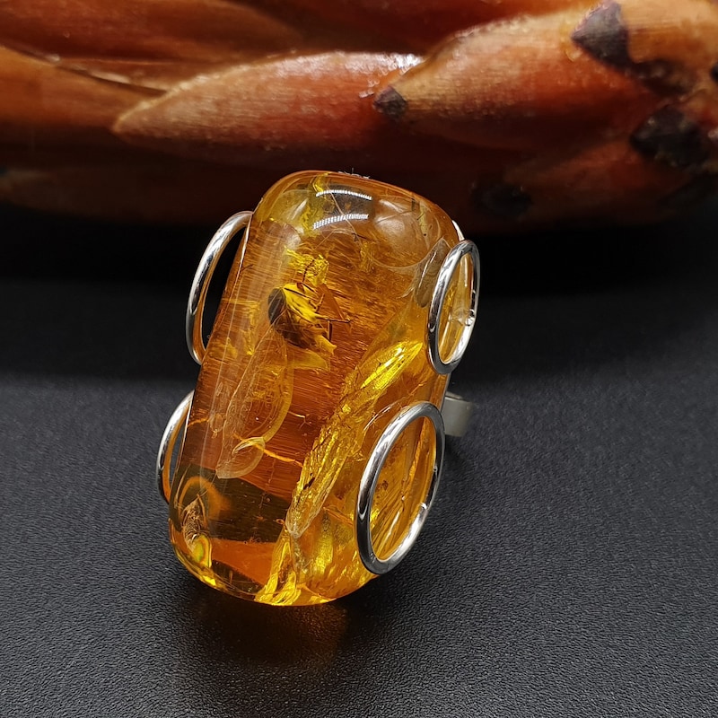Amber With Insect - Etsy