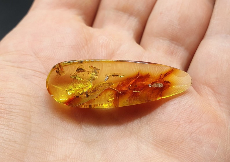 370 Natural Amber Polished Stone with Up to Ten Small | Etsy