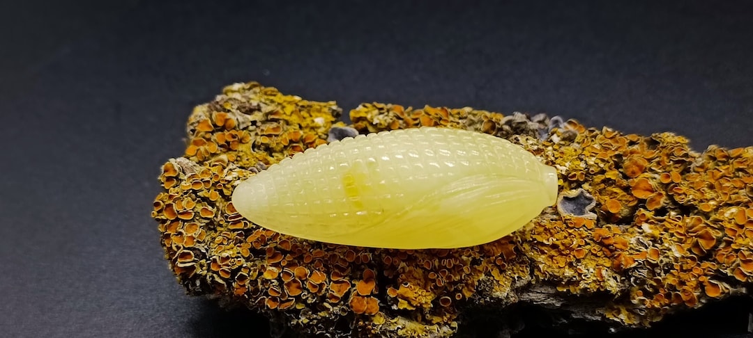 Amber Carving, Corn, Yellow Opaque Amber, Baltic Amber, Exclusive Amber ...