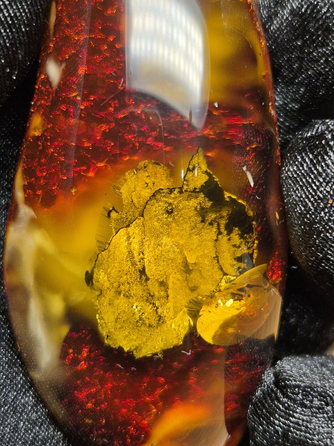 Natural Amber Stone, Gemstone With Inclusion, Prehistoric Rind/bark ...