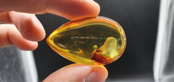 719 Natural Amber Drop With Inclusions Air Bubble Spider | Etsy