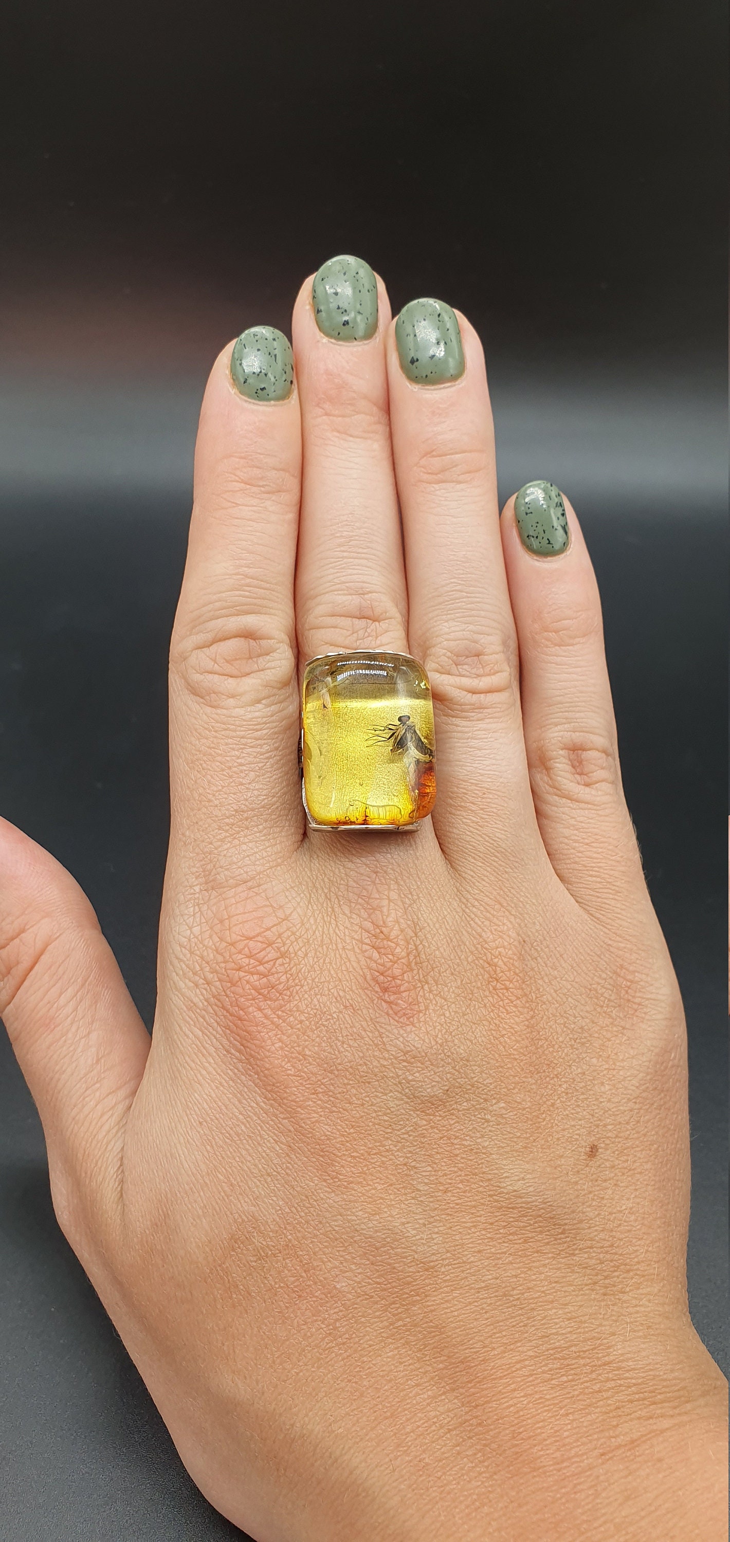 669 Natural Amber Ring Amber With a Fly Transparent Yellow - Etsy