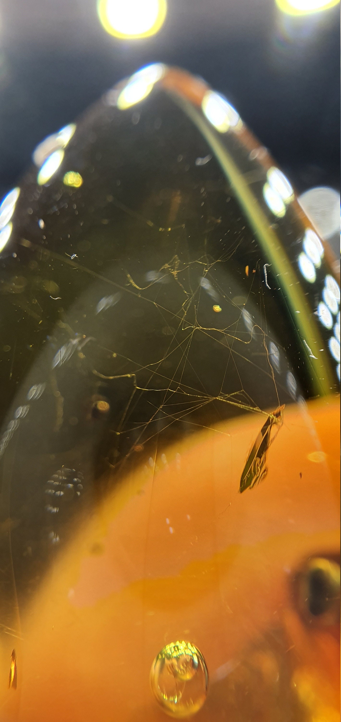 719 Natural Amber Drop With Inclusions Air Bubble Spider - Etsy