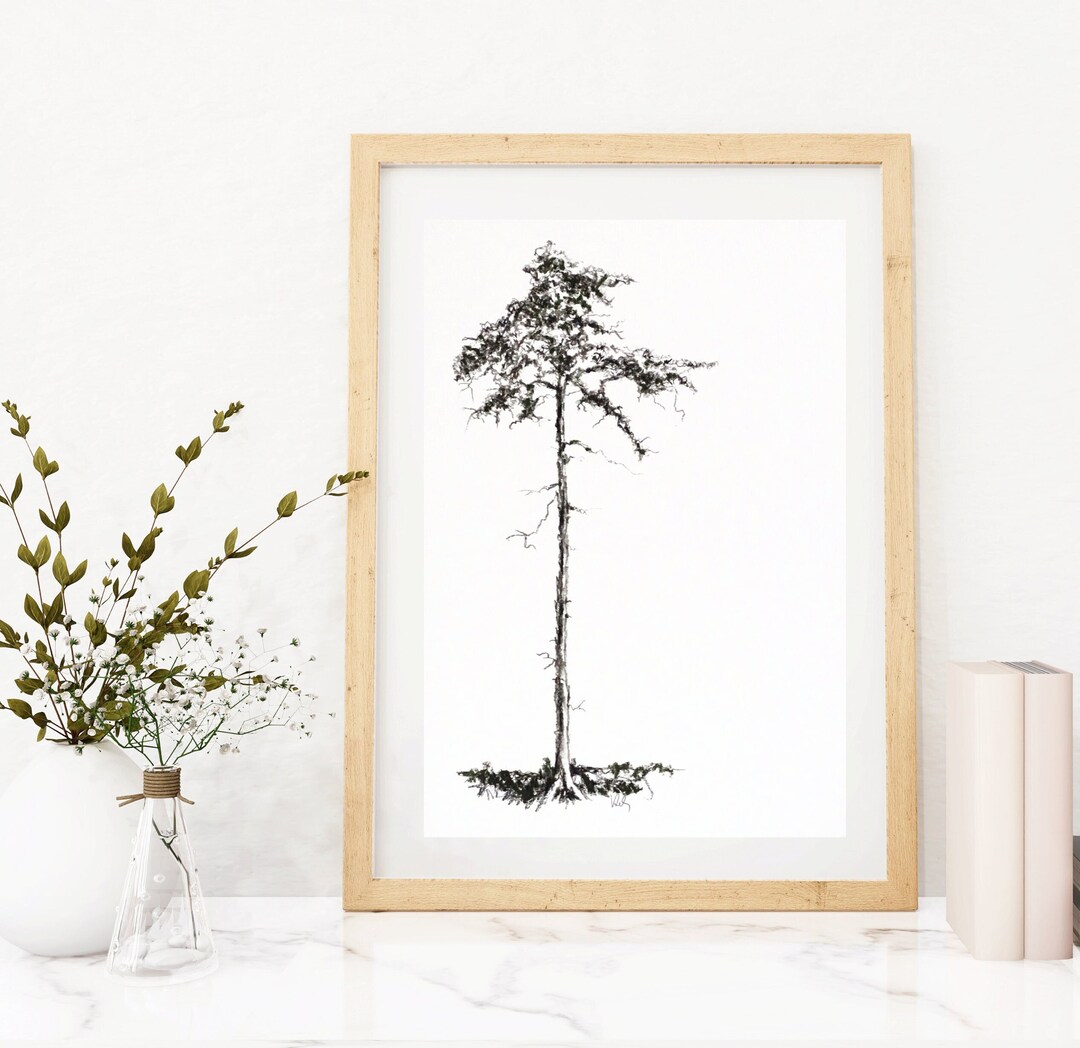 Pine Tree Original Charcoal Drawing, Pine Tree Artwork Picture ...