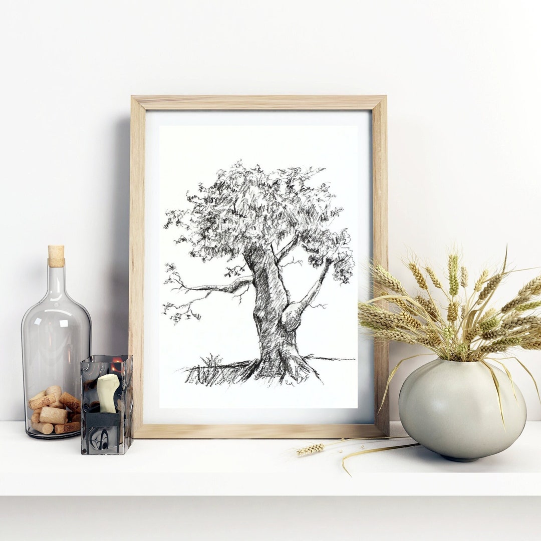 Tree Original Charcoal Drawing, Tree Artwork Picture, Abstract ...