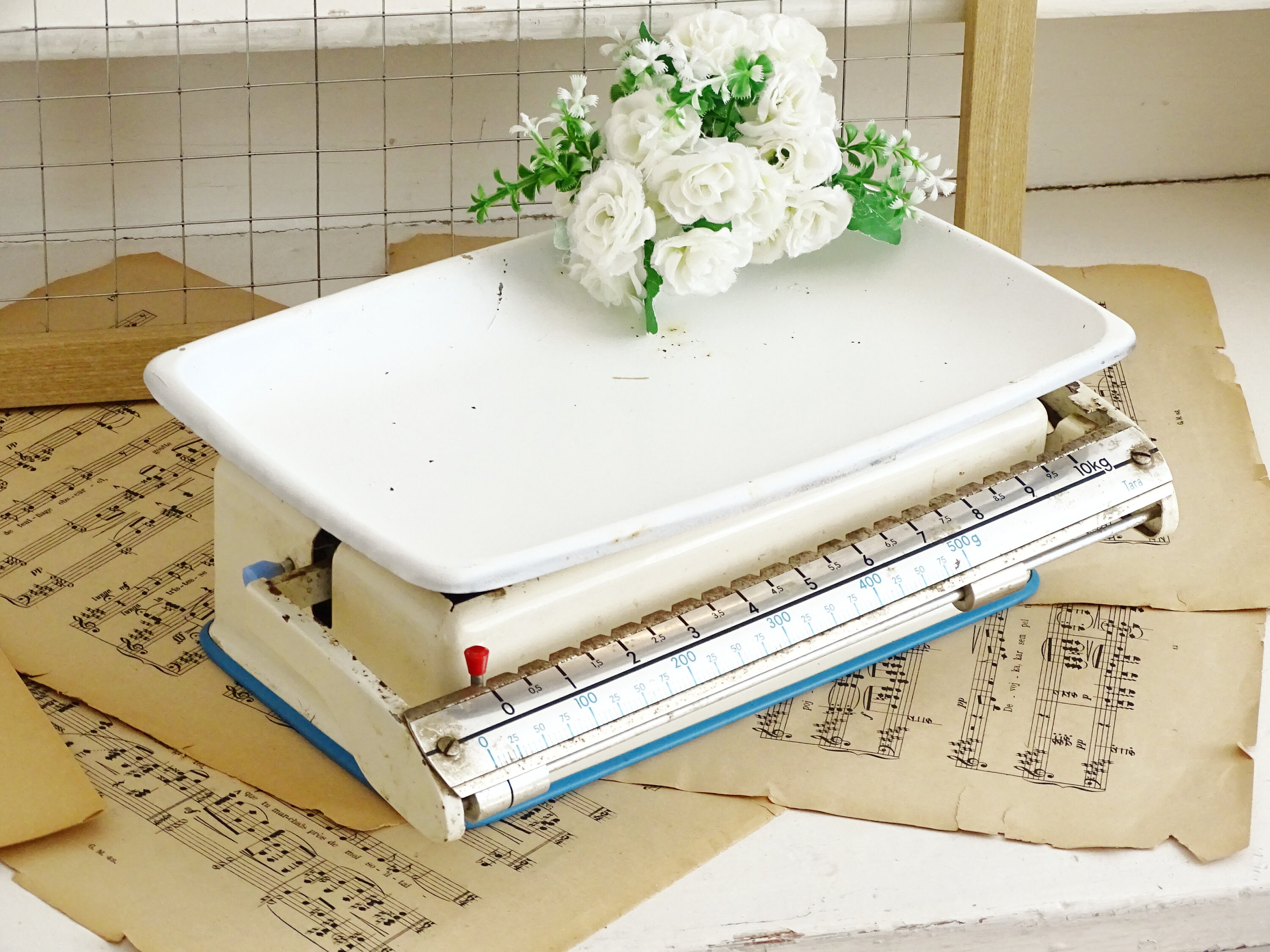 White Enamel Kitchen Scale Blue Rim Retro Metal Balance Scale | Etsy