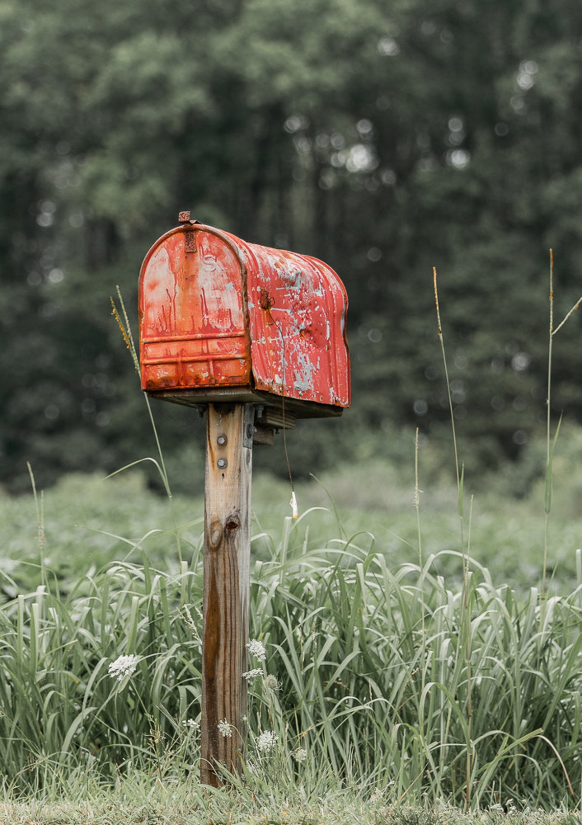 Old Rusty Dented Mailbox Photo Print Wall Art / Decor Country Mailbox ...