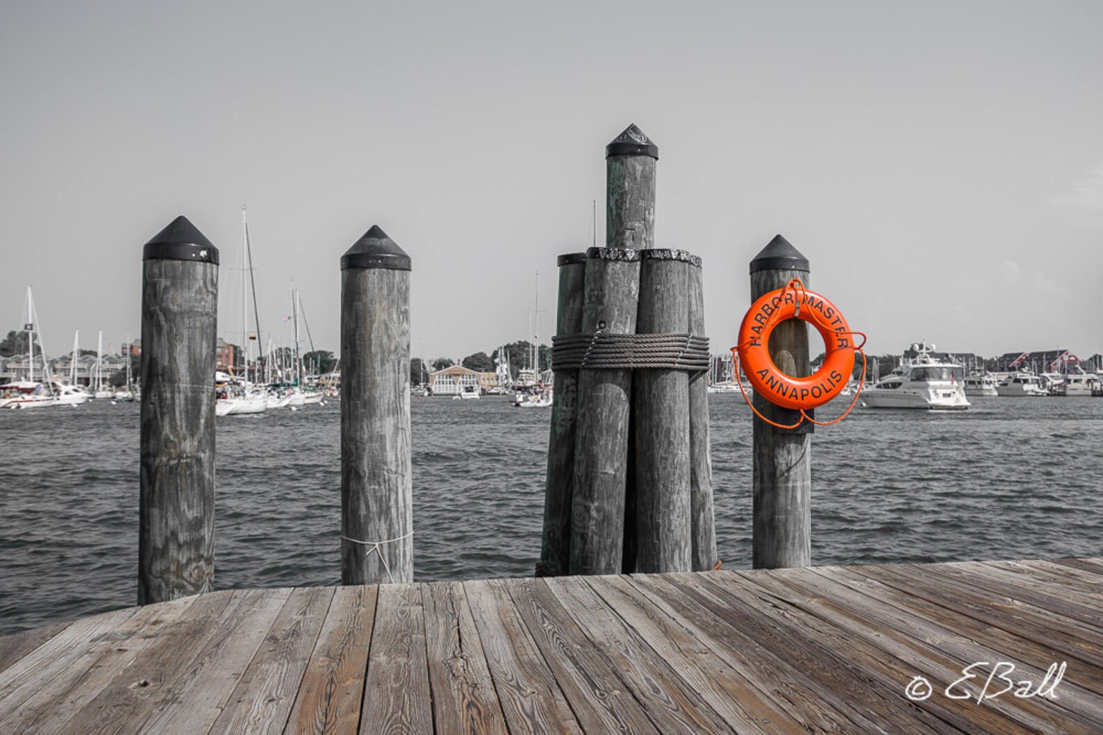 Annapolis Maryland Waterfront Pier Dockside Wall Art Photo Print ...
