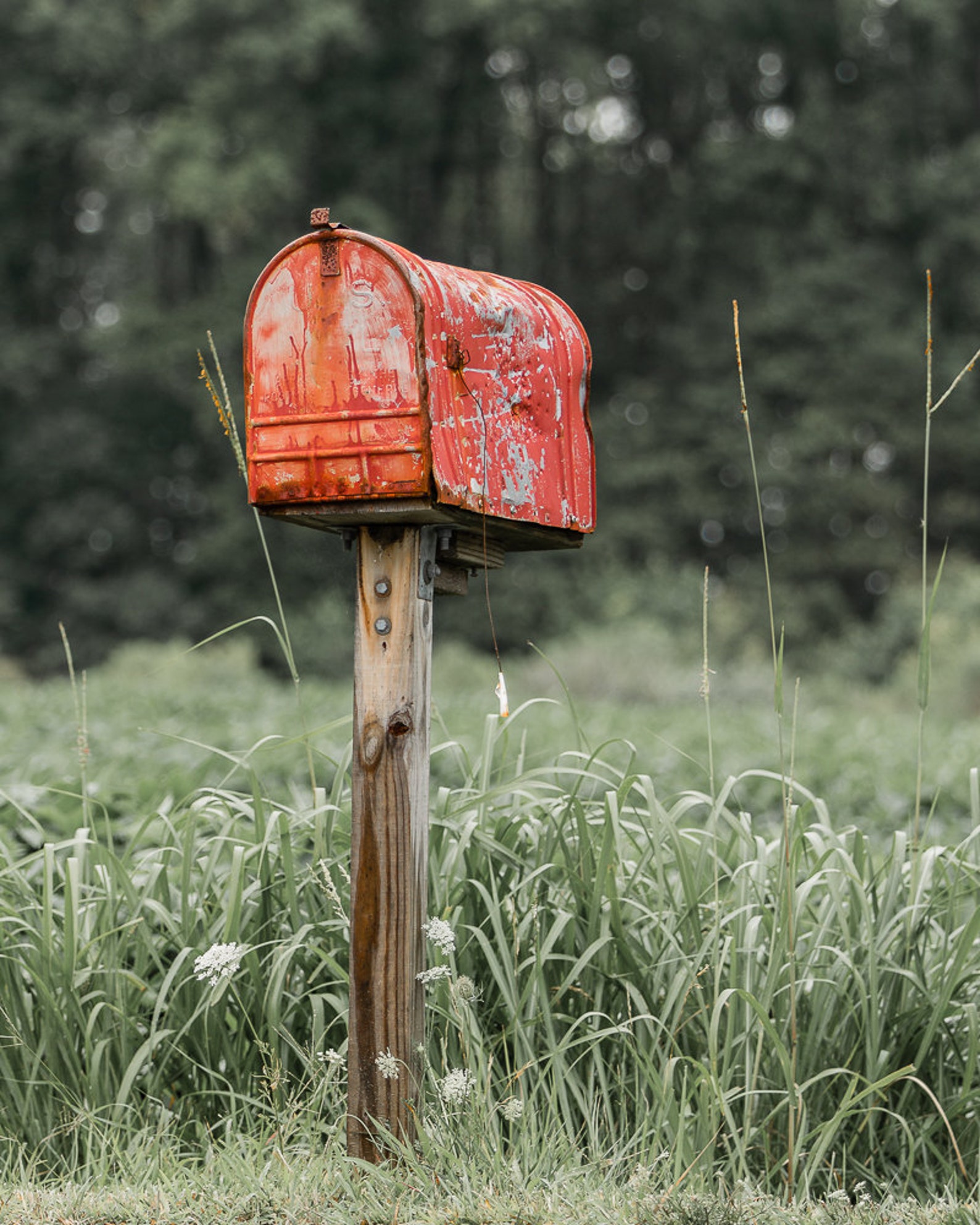 Old Rusty Dented Mailbox Photo Print Wall Art / Decor Country Mailbox ...