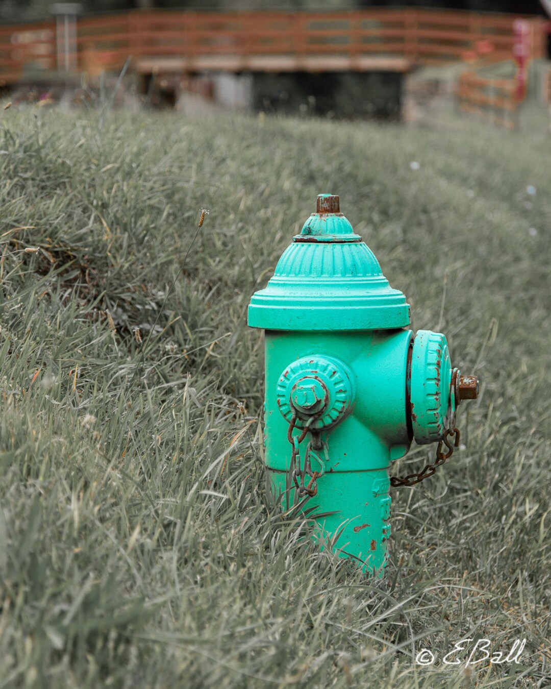 Turquoise Aqua Green Fire Hydrant Photo Print Art Bathroom Wall Decor ...