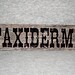 Metal Sign TAXIDERMY Taxidermist Rogue Art Shop Mount Preserving Animal ...