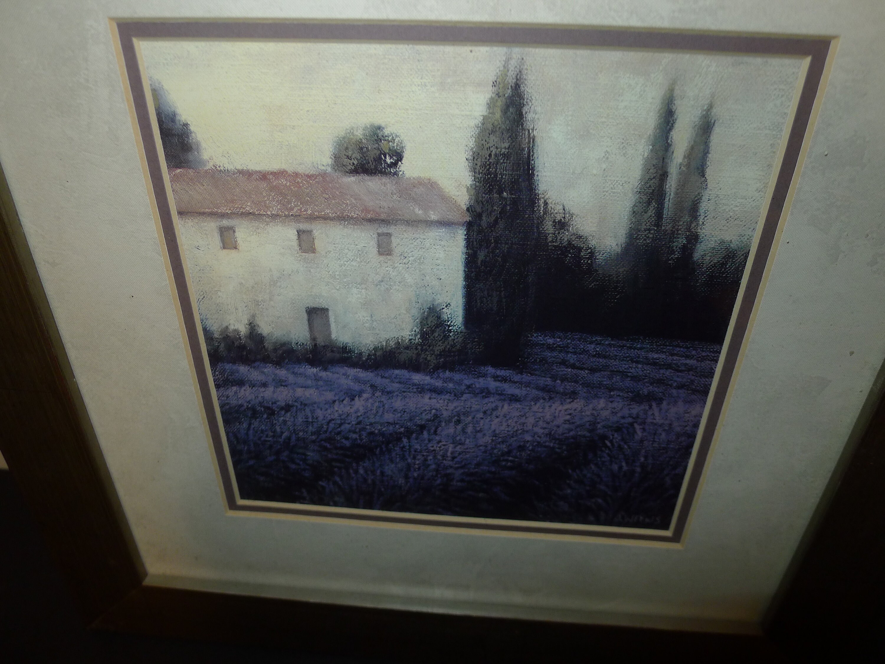 JAMES WIENS- Lavender Field Detail -art in Motion Framed & Signed Print ...