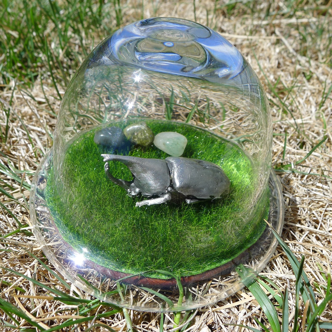 Rhinoceros Beetle Casting, Pewter Beetle Sculpture, Insect Art, Metal ...