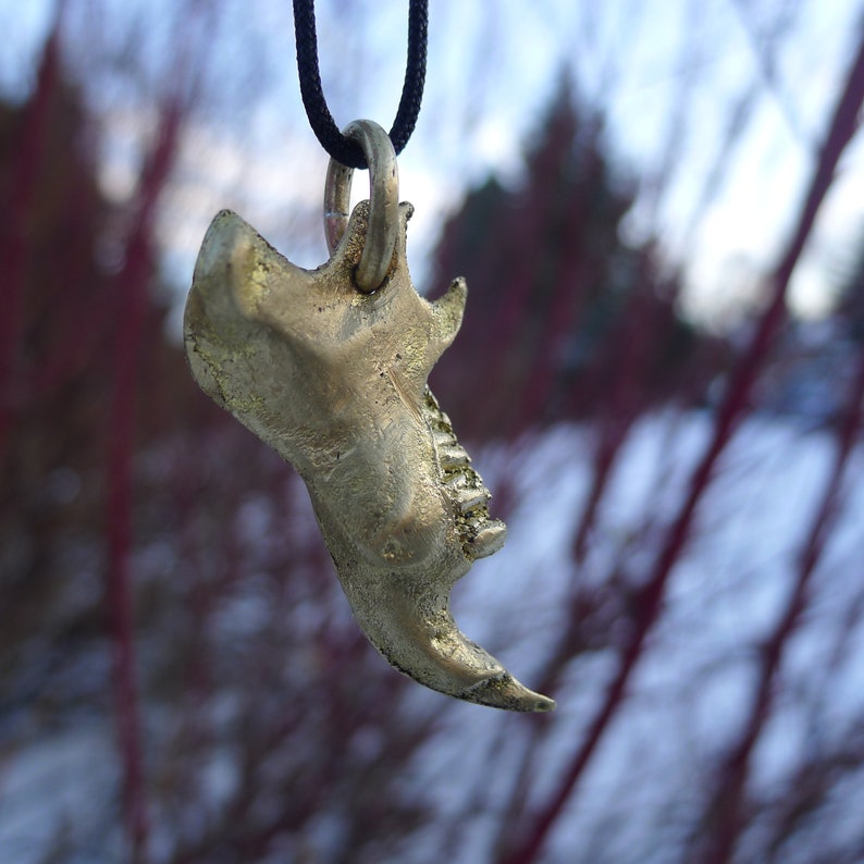 Prairie Dog Jaw Necklace, Jaw Bone Casting Necklace, Jaw Necklace ...