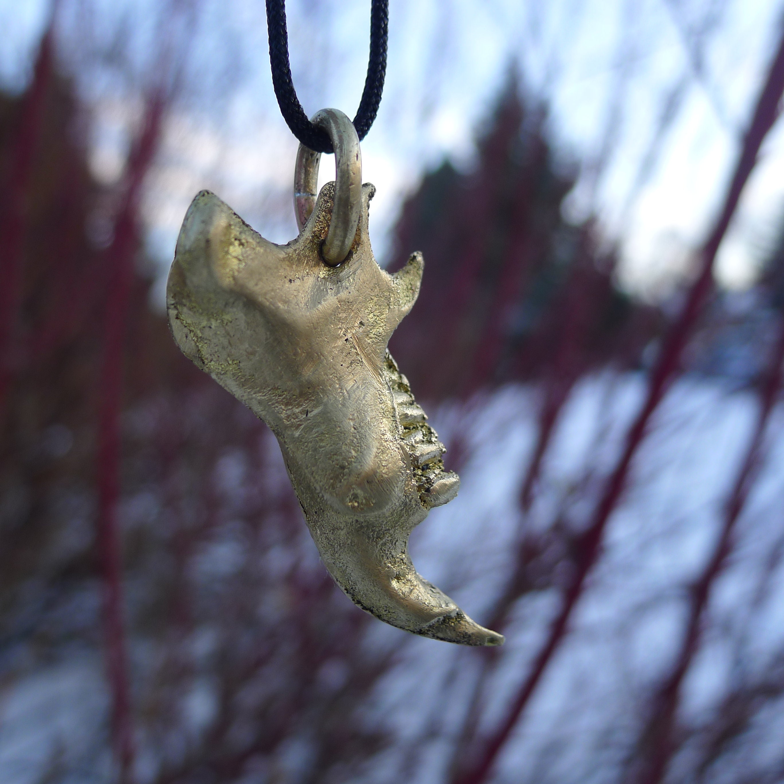 Prairie Dog Jaw Necklace, Jaw Bone Casting Necklace, Jaw Necklace ...