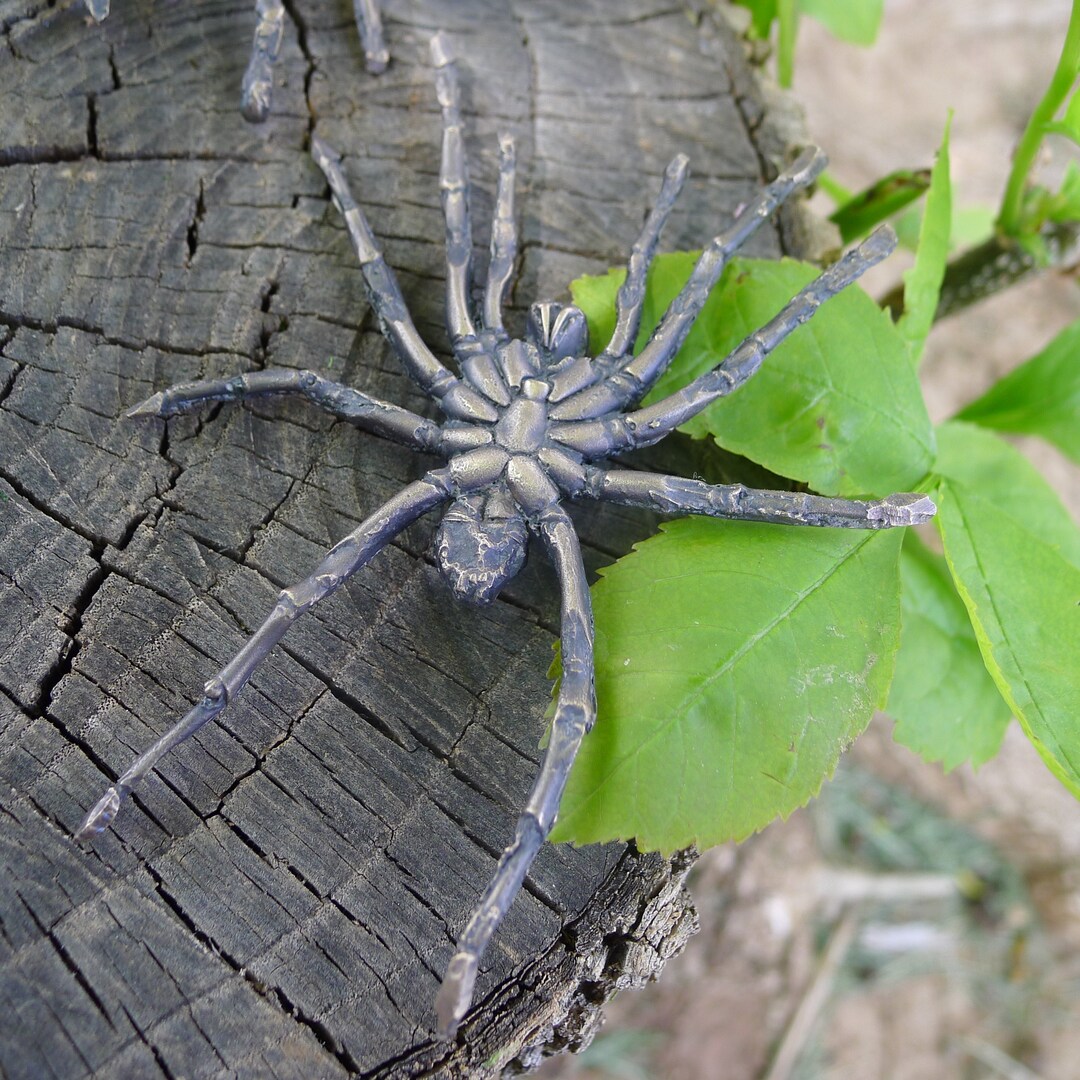 Bronze Tarantula, Pewter Tarantula, Tarantula Metal Casting Oddity ...