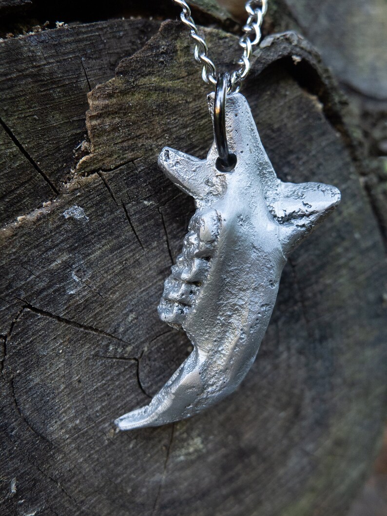 Prairie Dog Jaw Necklace, Jaw Bone Casting Necklace, Jaw Necklace ...
