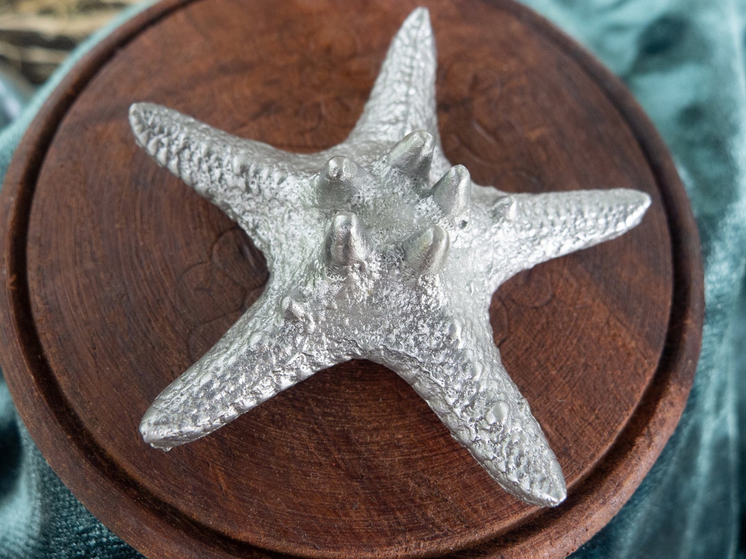 Metal Starfish Decoration, Armored Starfish Casting, Metal Taxidermy ...