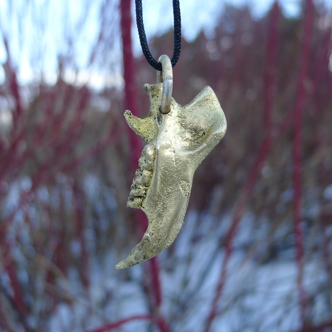 Prairie Dog Jaw Necklace, Jaw Bone Casting Necklace, Jaw Necklace ...