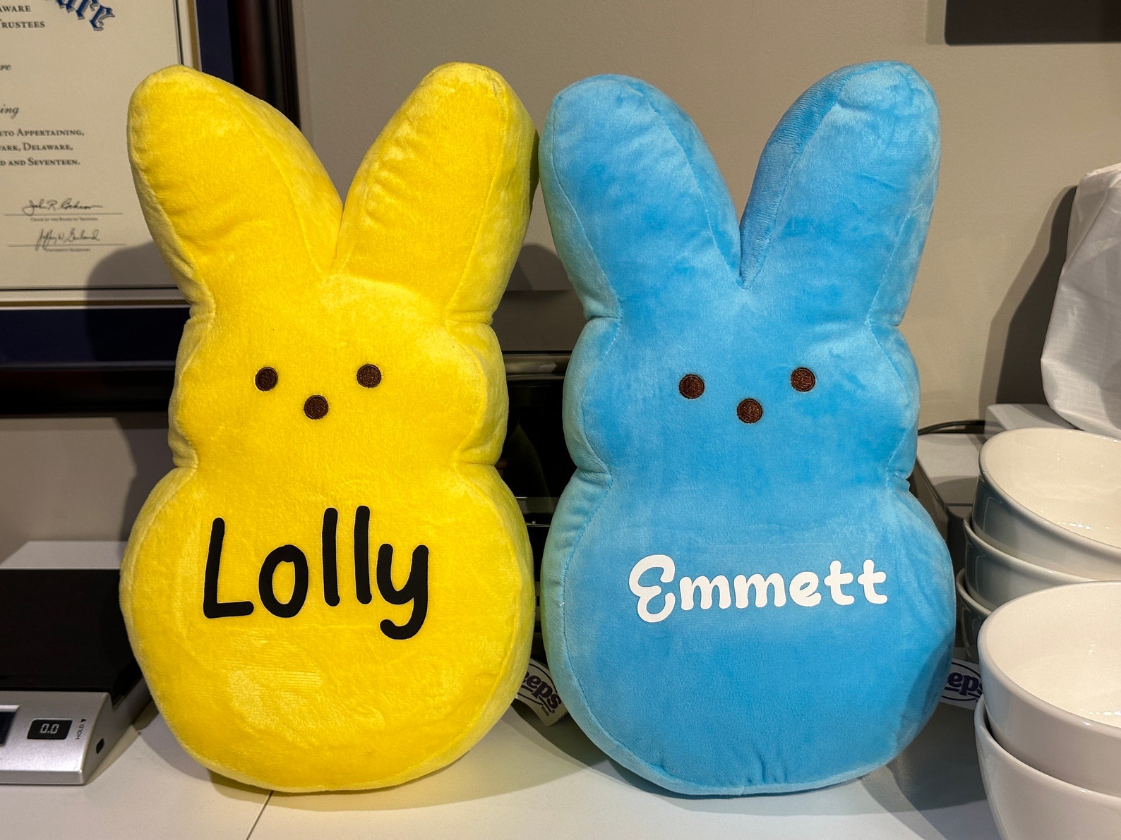 Extra Large 15” Personalized Plush Bunny Easter Peeps, Easter ...