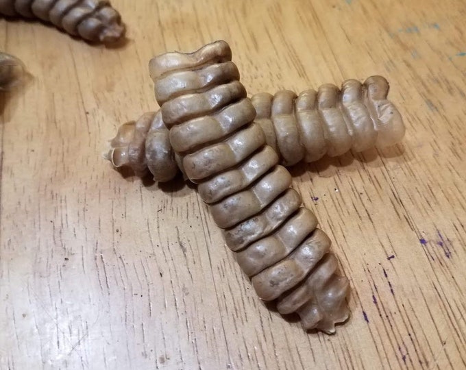 BIG Rattlesnake Rattles Western Diamondback Rattlesnake - Etsy