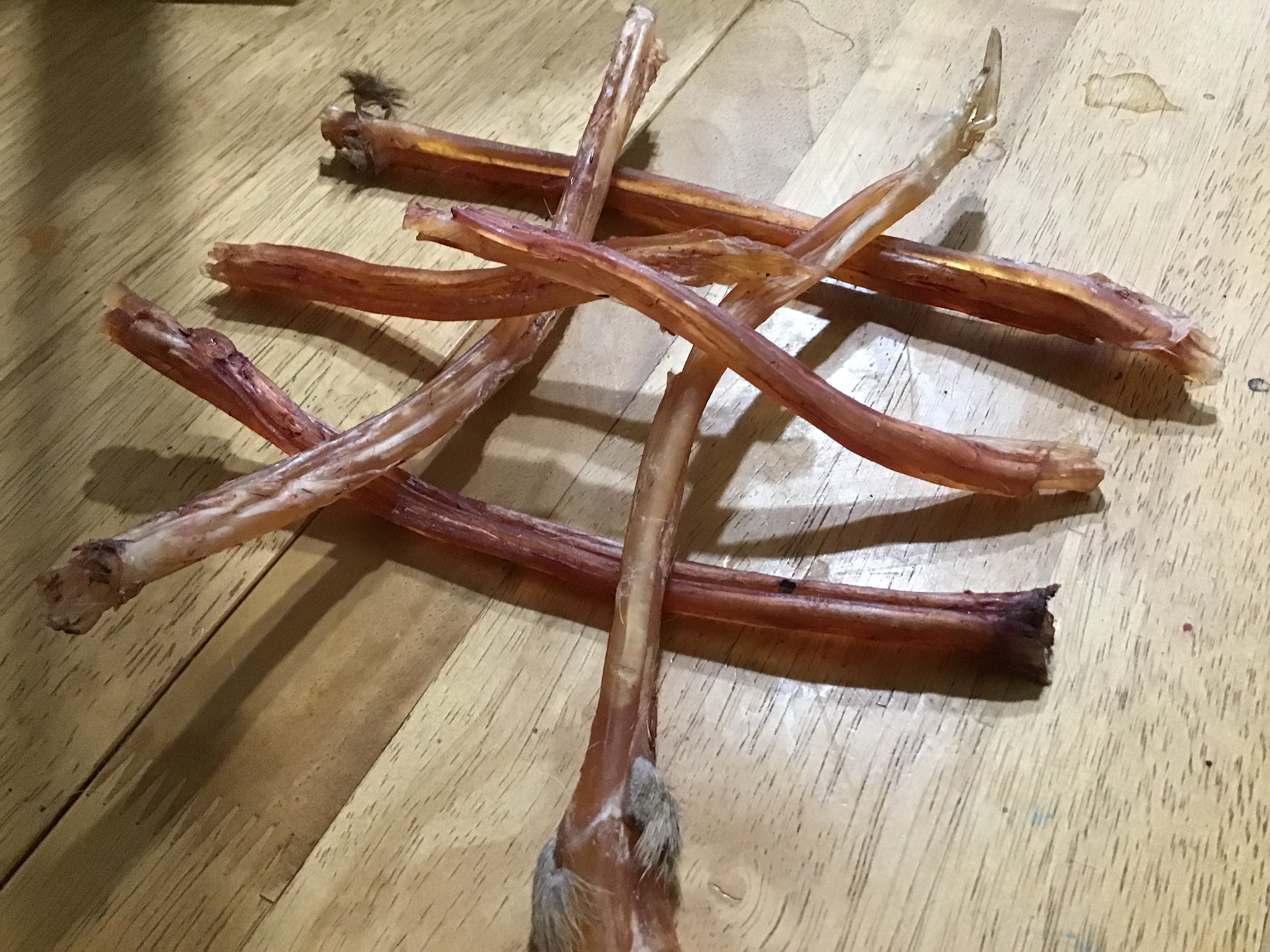 DEER SINEW ~ Proudly Harvested By Hand in TEXAS! - Etsy Nederland