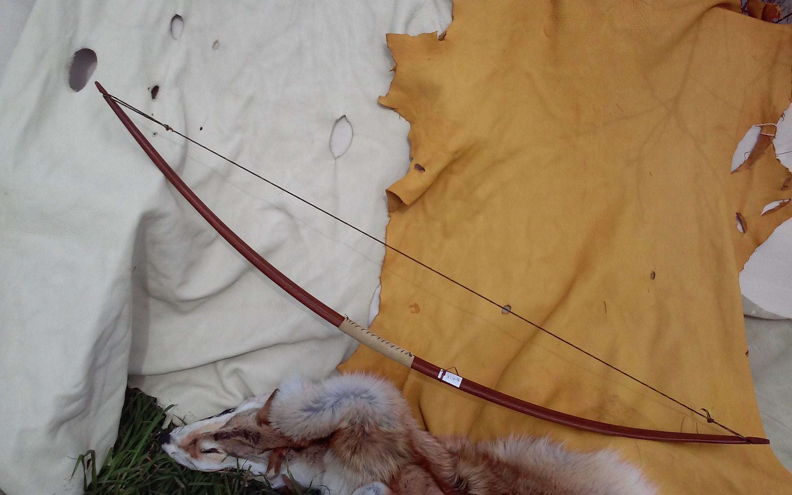 OSAGE BOW 46 To 57 Traditional Osage Orange of | Etsy