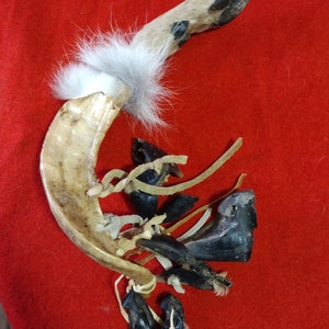 Deer Toe Rattle With RAM HORN and Deer Foot Handle. - Etsy