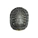Red-eared Slider Turtle Shells - Etsy