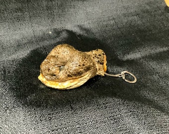 Rattlesnake Keychain - Etsy