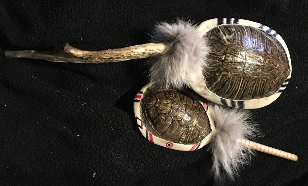 TURTLE RATTLES - Beautiful Red Ear Sliders - Etsy