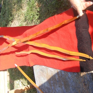 OSAGE BOW 46" to 57" ~ Traditional Osage Orange of YOUR Choice! (arrows ...