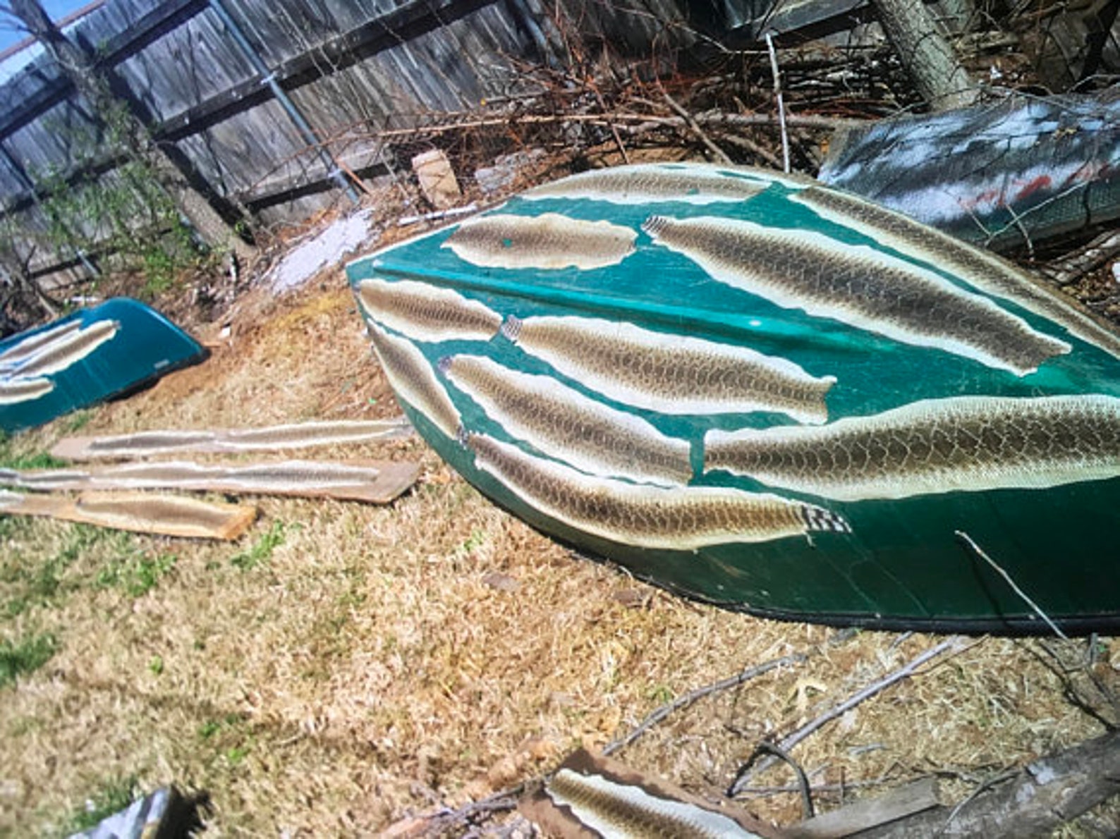 SNAKE BACKED OSAGE Bow Backed With Skins From Snakes - Etsy