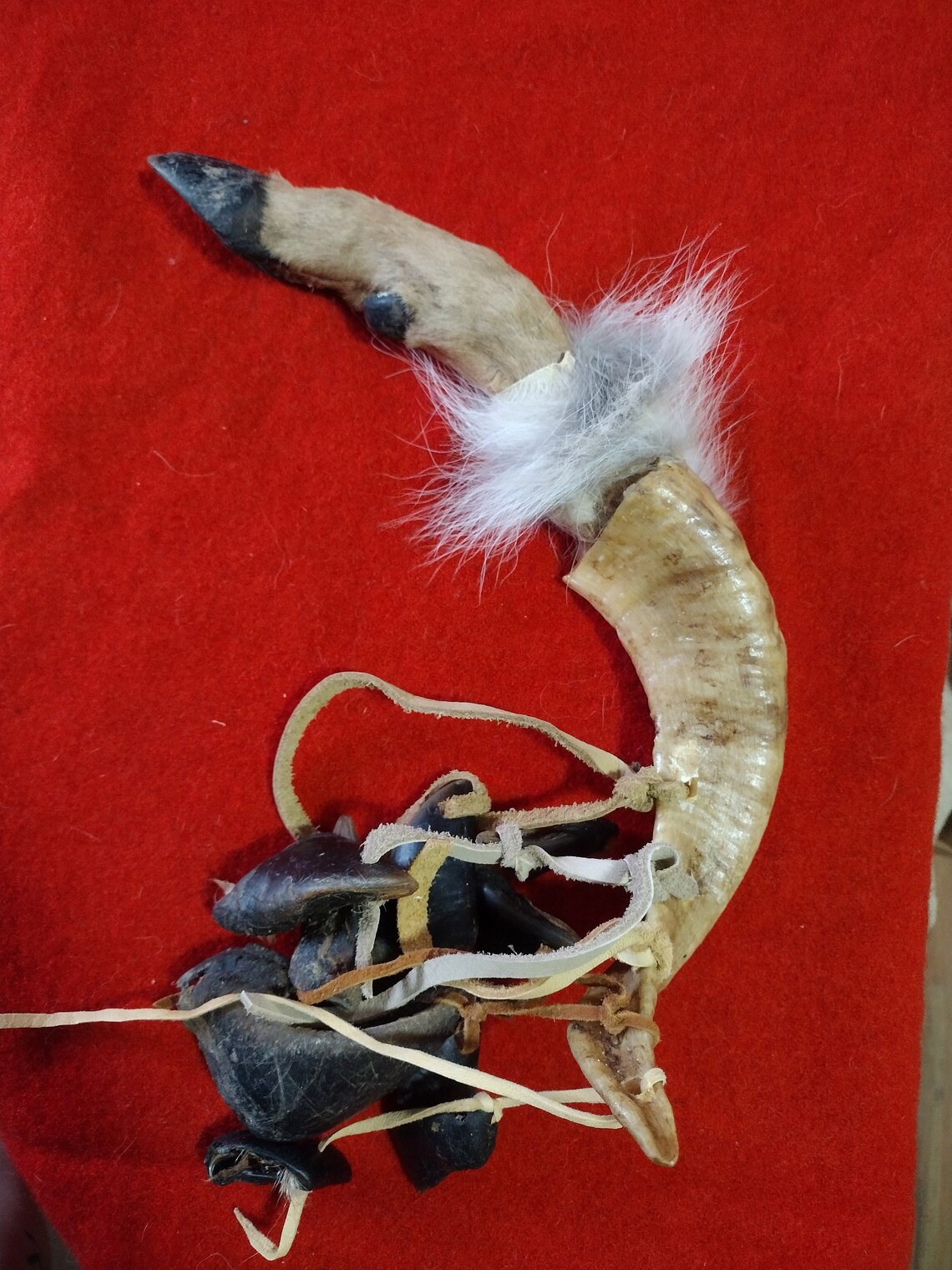 Deer Toe Rattle With RAM HORN and Deer Foot Handle. - Etsy