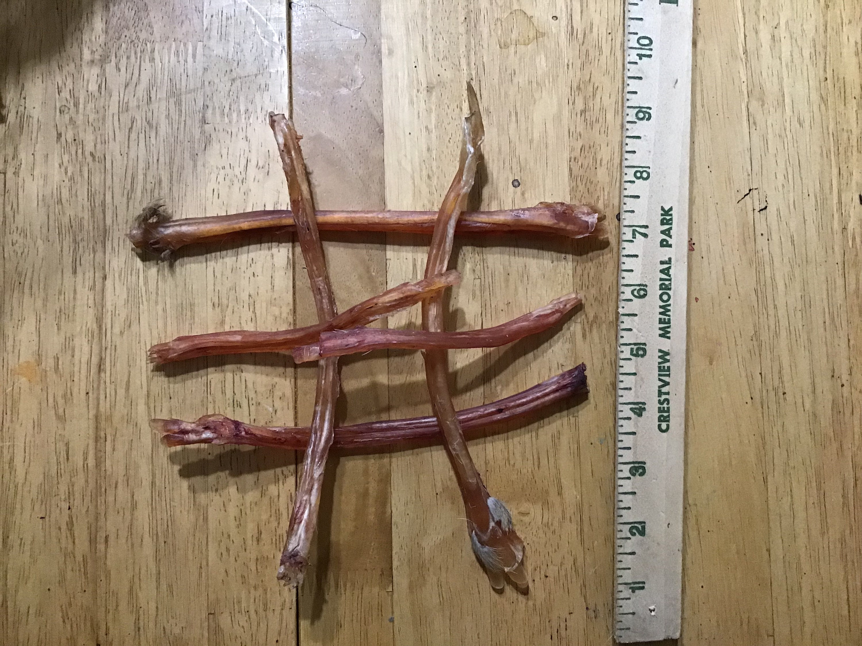 DEER SINEW ~ Proudly Harvested by Hand in TEXAS! - Etsy