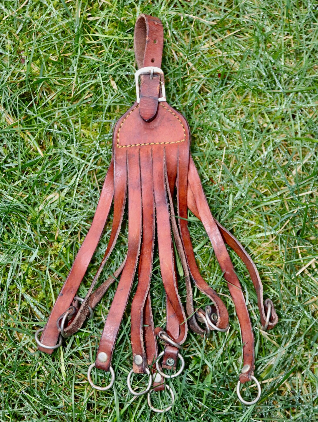 Vintage Chicken Gallows Wild Carrier Leather - Etsy